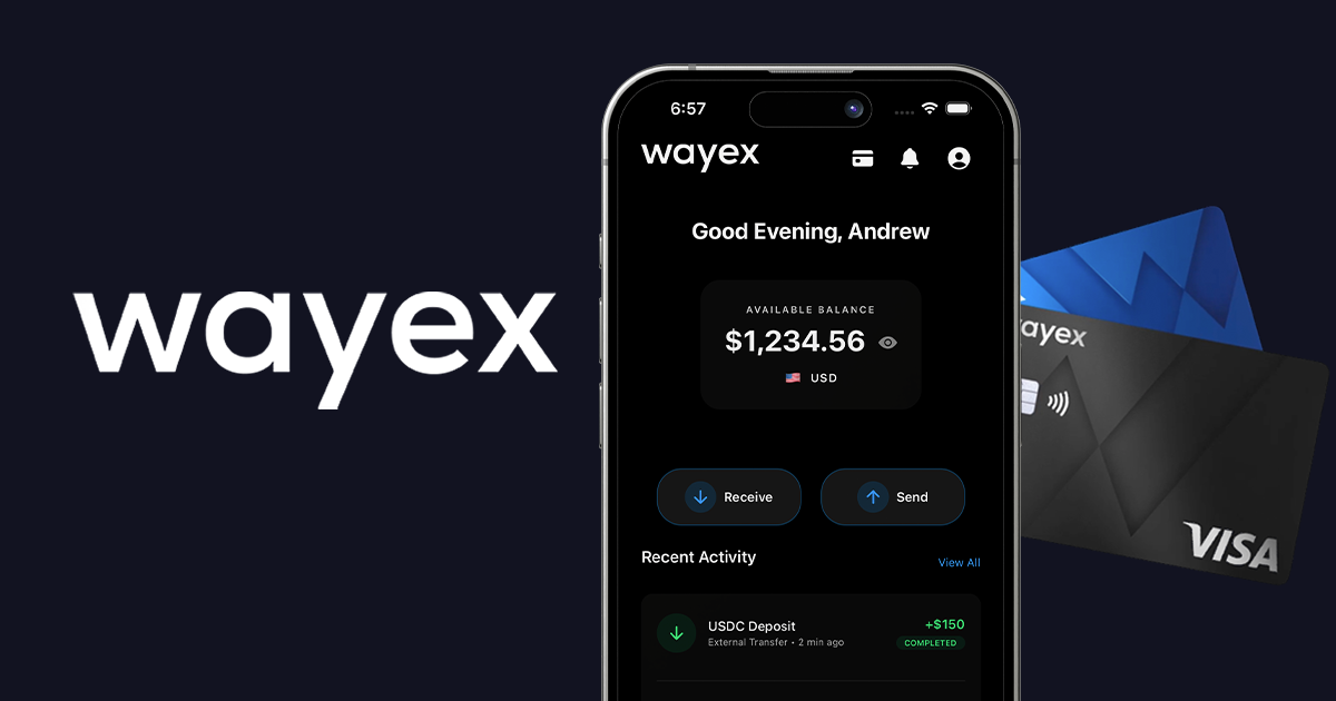 Use Your Stablecoins Everywhere Wayex